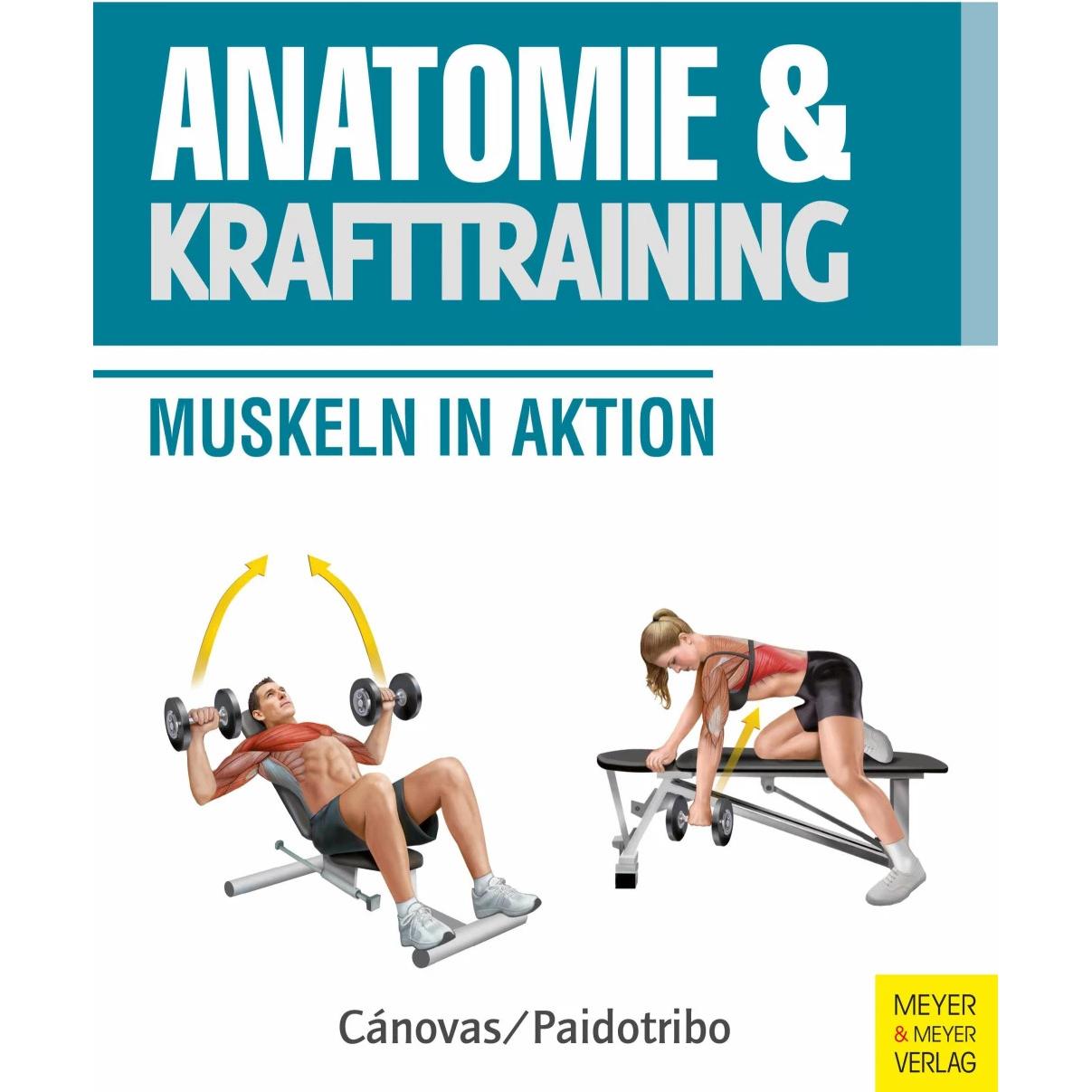 Meyer & Meyer Anatomie und Krafttraining (Anatomie & Sport, Band 1 ...