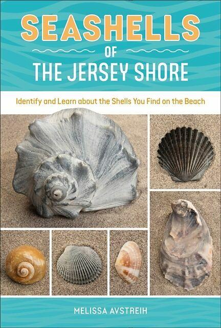 Schiffer Publishing Seashells of the Jersey Shore - kaufen bei Galaxus