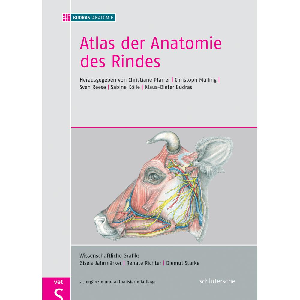 Schlütersche Atlas der Anatomie des Rindes - kaufen bei Galaxus
