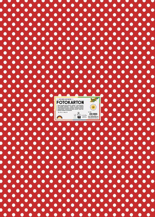 Folia Photo cardboard with dots 300g/m², 50x70cm - buy at Digitec