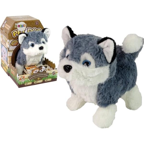 Lean Toys Interaktives Husky-Maskottchen - kaufen bei Galaxus
